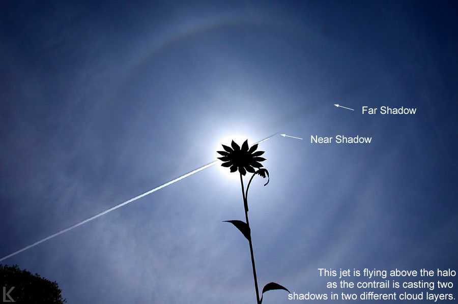 Atmospheric Optics Images - Halos