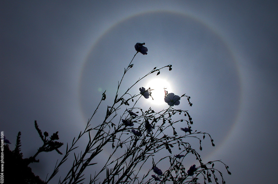 Atmospheric Optics Images - Halos